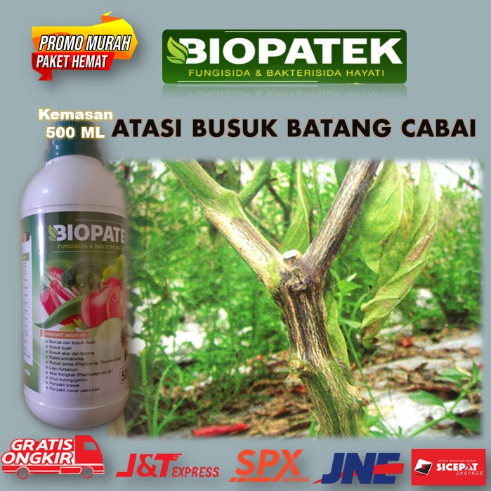 Jual Terbaru BIOPATEK Fungisida & Bakterisida Hayati Pupuk Paling Ampuh ... Jual Terbaru BIOPATEK Fungisida & Bakterisida Hayati Pupuk Paling Ampuh ...