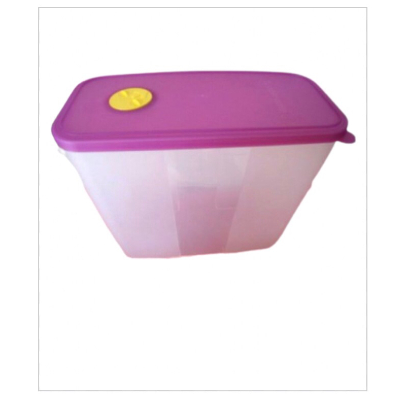 Jual Large Pocket Freezermate - with Dial 3,3L Tupperware | Shopee ...