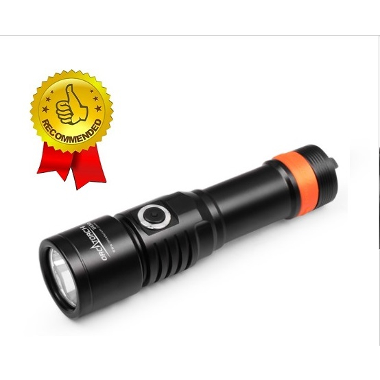 Jual Senter Selam Diving Orca Torch D530 Side Switch 1300 Night Dive ...