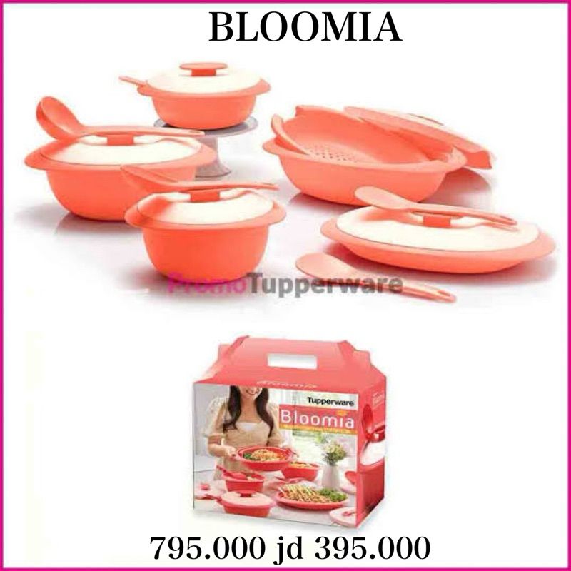 Jual Bloomia collection set | Shopee Indonesia