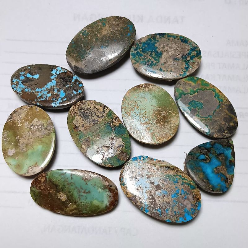 Jual NATURAL PIRUS PERSIA(B) | Shopee Indonesia