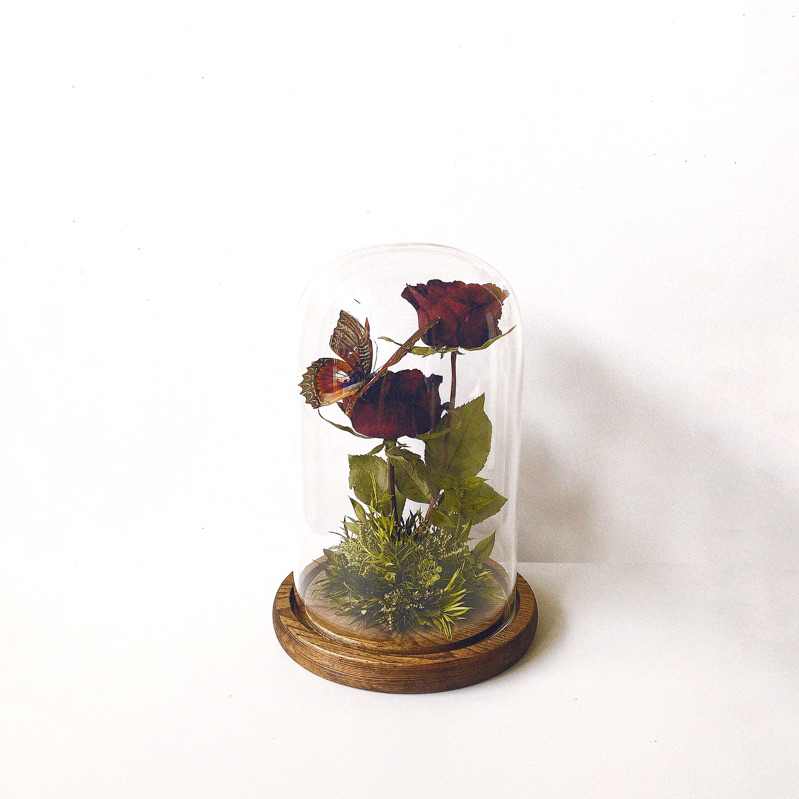 Jual “Mariposa y Rosas” Flower Dome | Kado Bunga Mawar| Hiasan Rumah ...