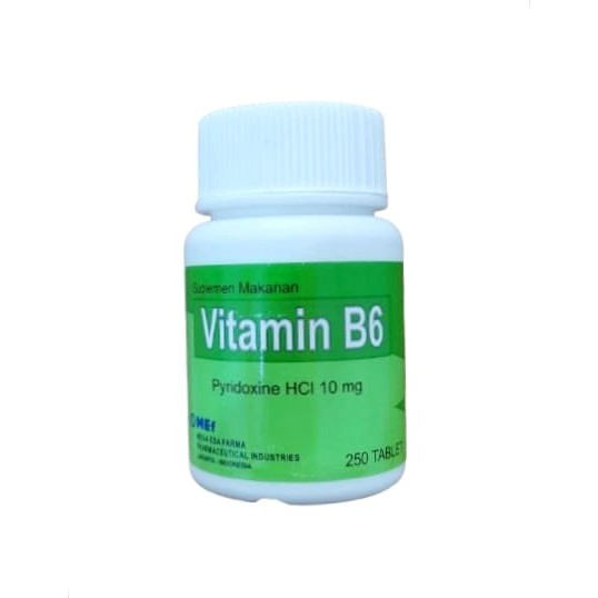 Jual Vitamin B6 10mg 250's Tablet Mef | Shopee Indonesia