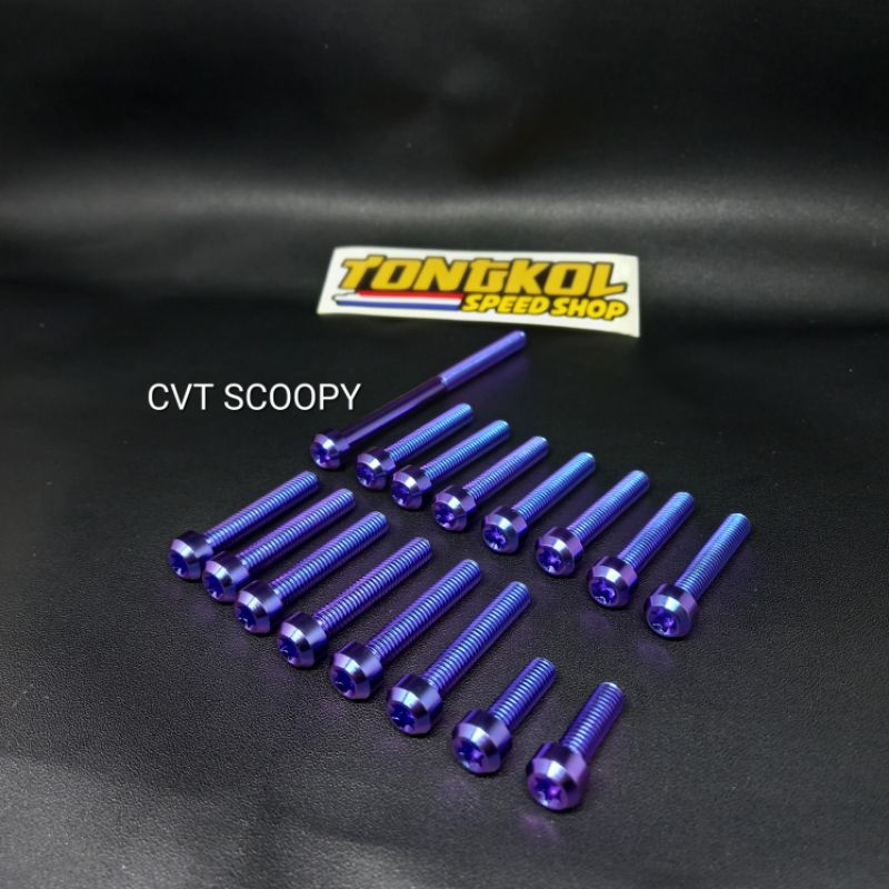 Jual BAUT TITANIUM GR5 CVT SCOOPY ORIGINAL VIETNAM | Shopee Indonesia