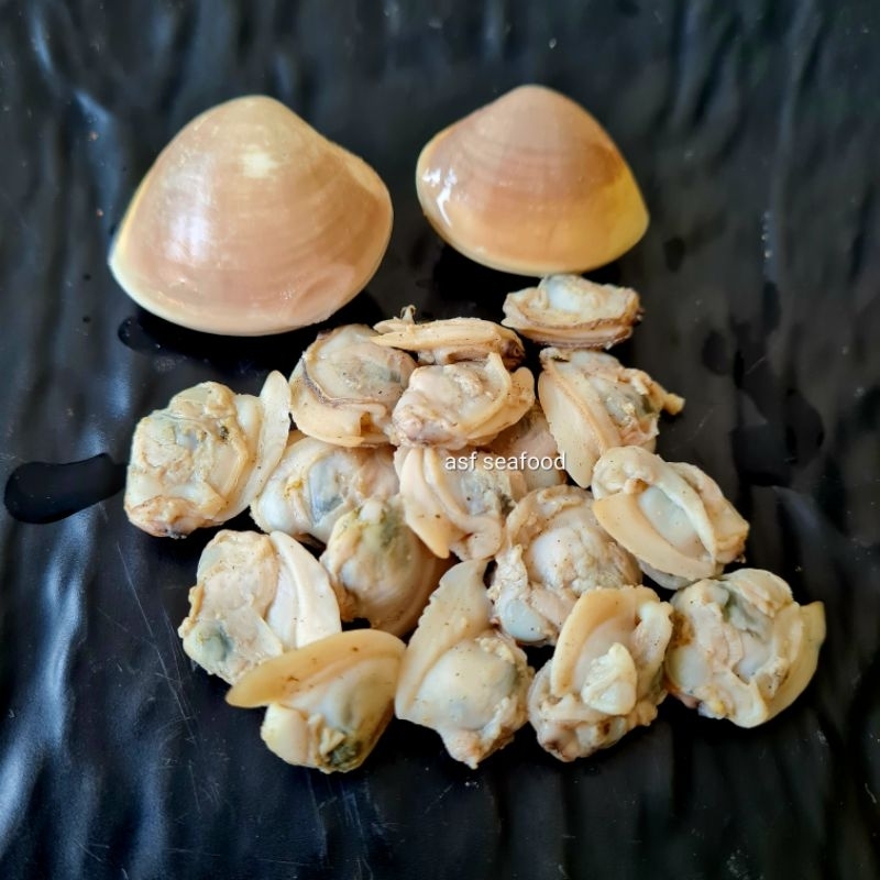 Jual Daging Kerang Tahu/Kupas Cook | Shopee Indonesia