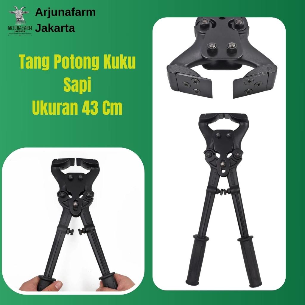 Jual Gunting Kuku Tang Potong Kuku Sapi Besar Kambing Domba Kuda ...