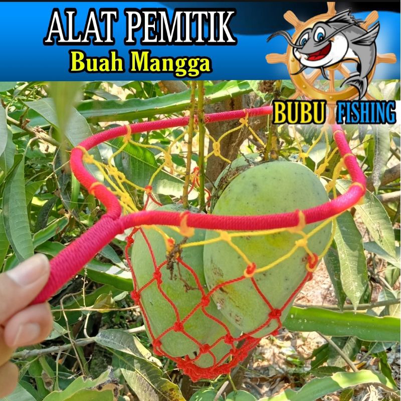Jual alat petik mangga/alat petik buah | Shopee Indonesia