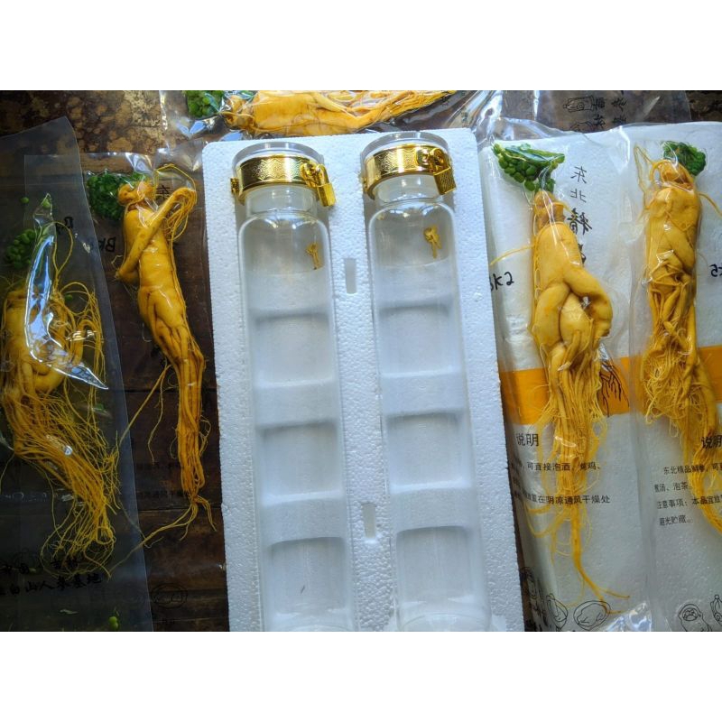 Jual botol tabung panjang 37 cm original asli khusus gingseng | Shopee ...