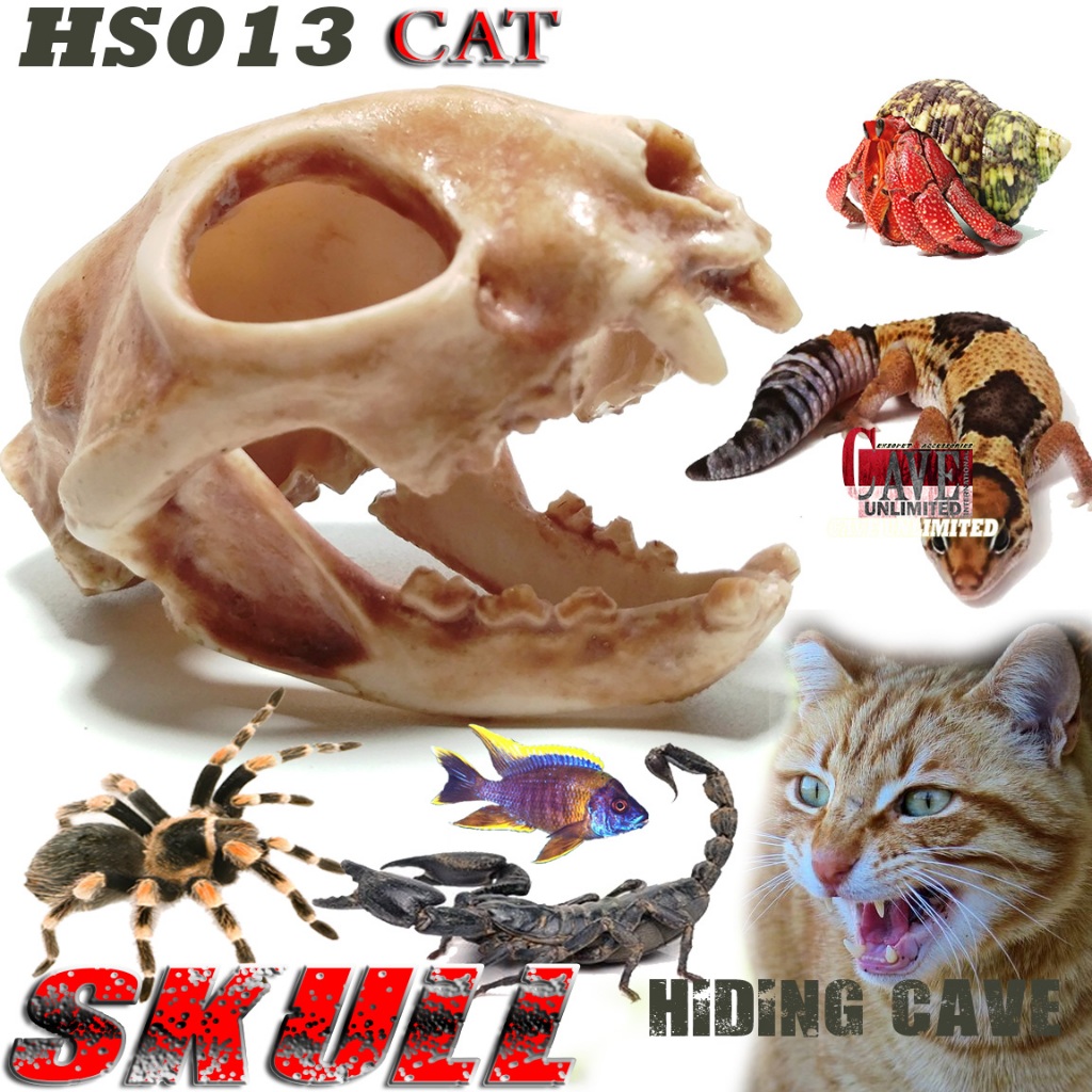 Jual HS014 HIDING SKULL TENGKORAK KEPALA KUCING CAT HIDING CAVE TEMPAT ...