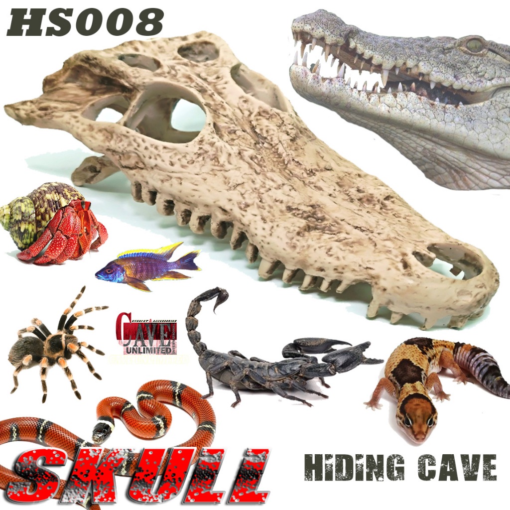 Jual HS008 HIDING SKULL TENGKORAK KEPALA BUAYA CROCODILE PREDATOR ...