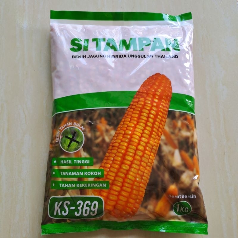 Jual Benih Jagung SiTampan KS-369 1KG | Shopee Indonesia