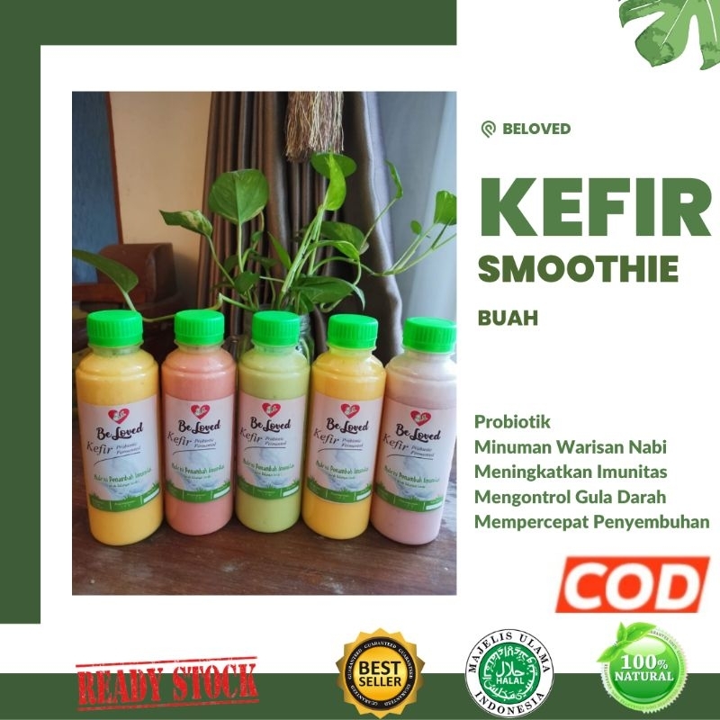 Jual Kefir Smoothies Susu Sapi Minuman Fermentasi Probiotik 250ml ...