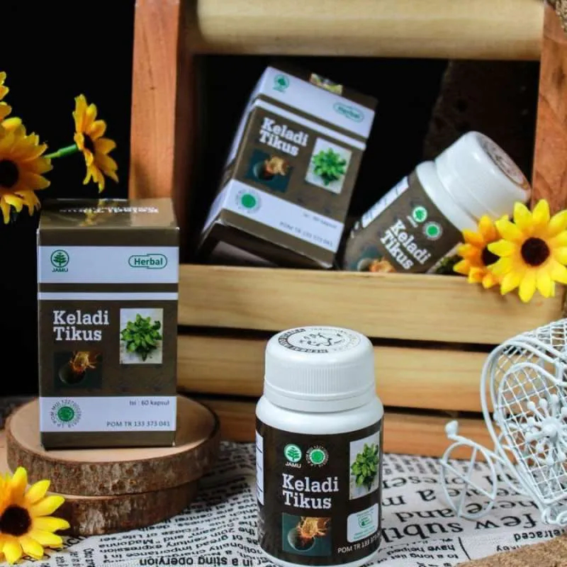 Jual Hiu Keladi Tikus 60 Kapsul Obat Kanker dan Tumor Alami | Shopee ...