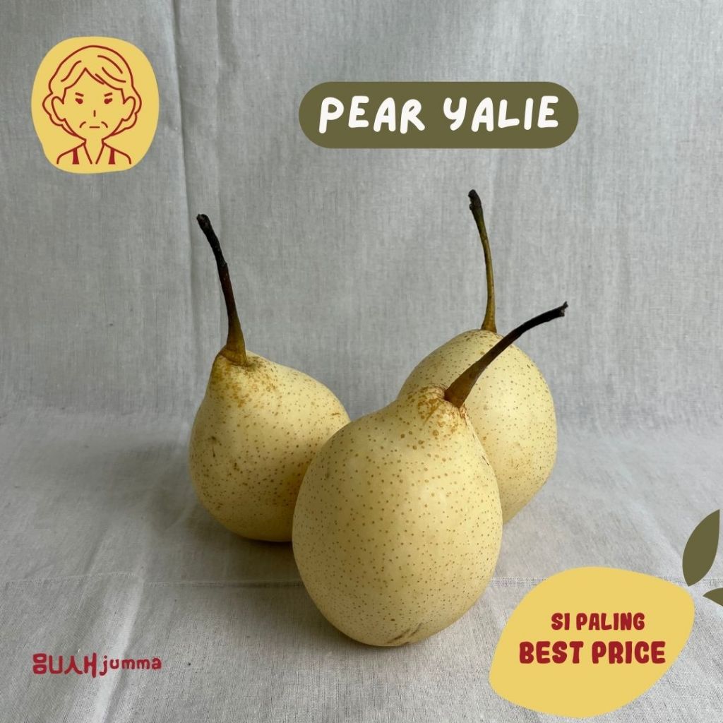 Jual Pear/Pir Century Segar | Shopee Indonesia