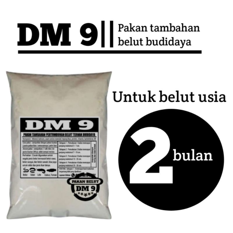 Jual Belut monster super jumbo pakan ternak modern DM 9 media air bersih tanpa lumpur | Shopee ...