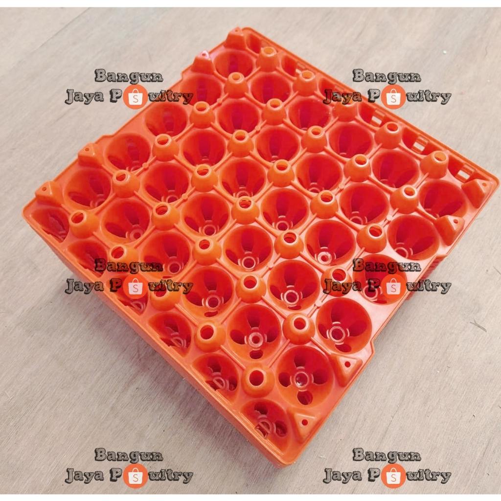 Jual EGG TRAY TEBAL PLASTIK ORANGE 29CM/Rak Telur Ayam, Bebek/Tempat ...