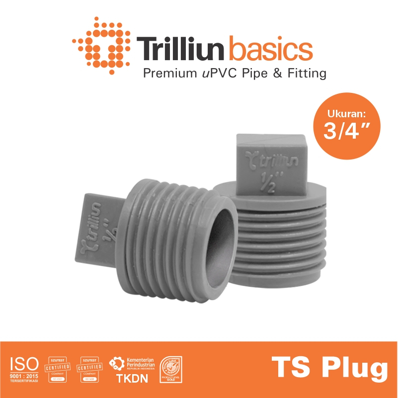 Jual Fitting Pipa uPVC Trilliunbasics TS Plug 3/4" Inch | Shopee Indonesia