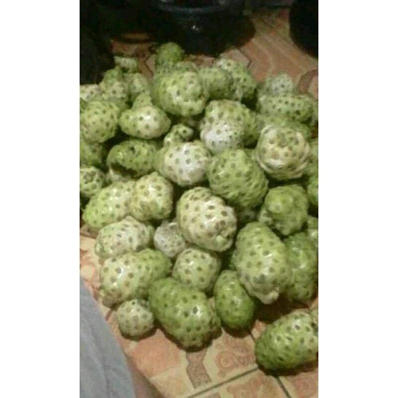 Jual BUAH MANGKUDU isi 500g | Shopee Indonesia