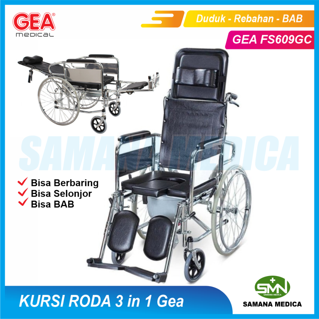 Jual Kursi roda GEA FS608GC Kursi Roda 3 in 1 3in1 Serbaguna ...
