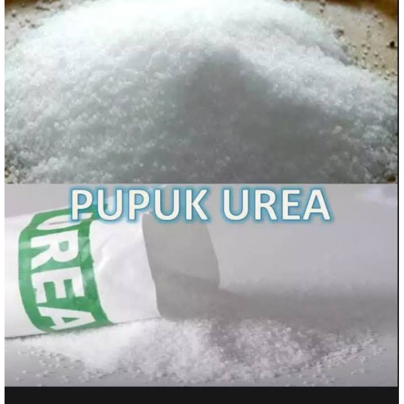 Jual Pupuk urea putih untuk tanaman hias 1 kg | Shopee Indonesia
