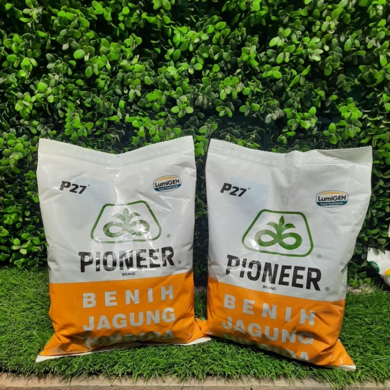 Jual Benih Jagung Pioner P 27 gajah lumigen | Shopee Indonesia