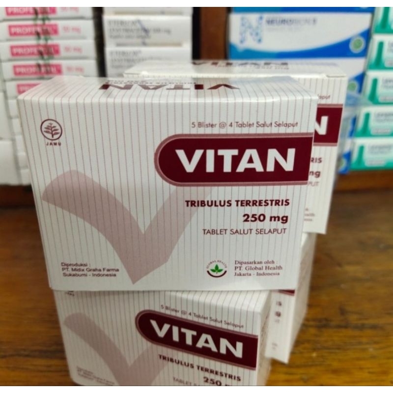 Jual Vitan Box Isi 20 Tablet | Shopee Indonesia