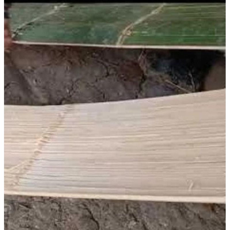 Jual Talupuh/Palupuh bambu Gombong hijau | Shopee Indonesia