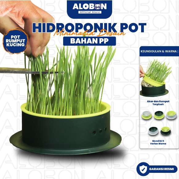 Jual Alobon Pot Rumput Kucing Paket Tumbuh Benih Gandum Wheatgrass Cat ...
