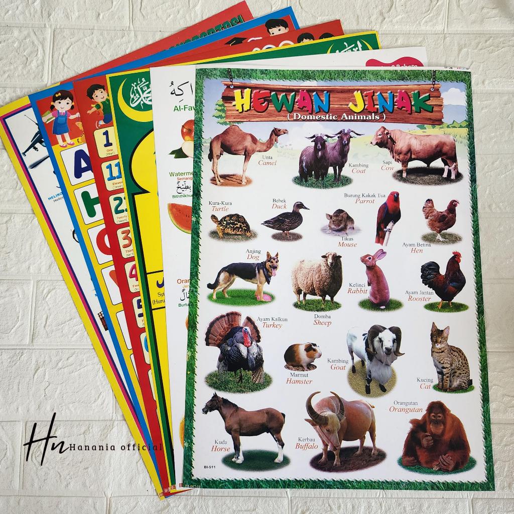 Jual PAKET 6 LEMBAR POSTER DINDING EDUKASI ANAK PAUD DAN TK SAMPAI SD ...