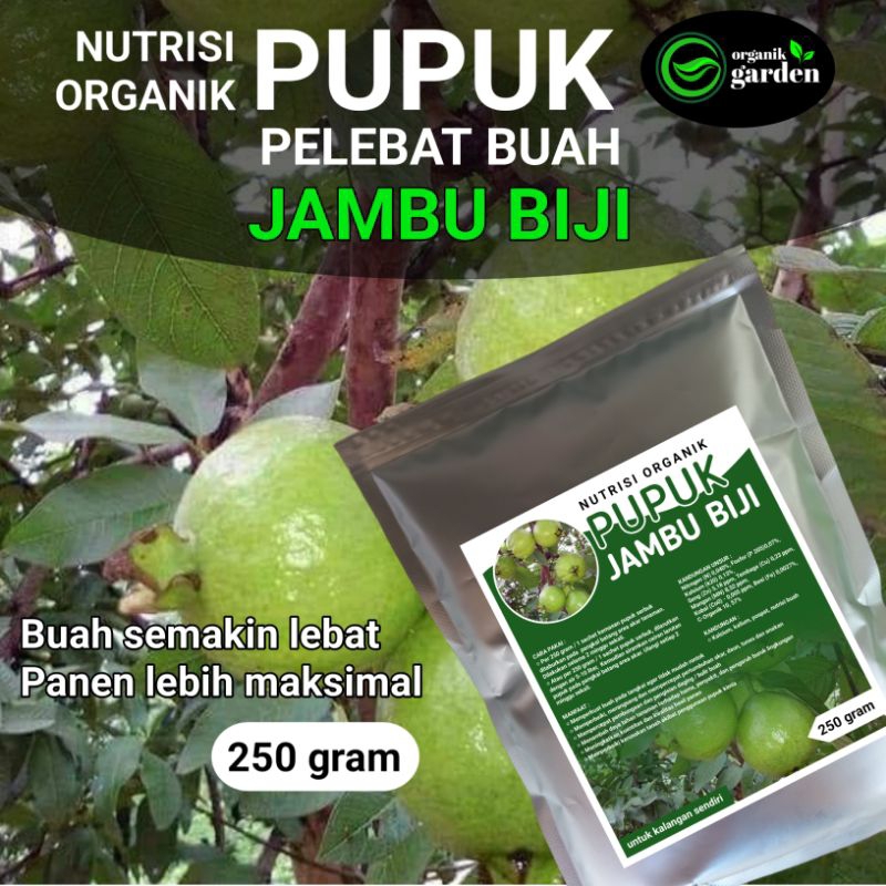 Jual pupuk pelebat buah JAMBU BIJI | booster nutrisi organik 250 gram | Shopee Indonesia