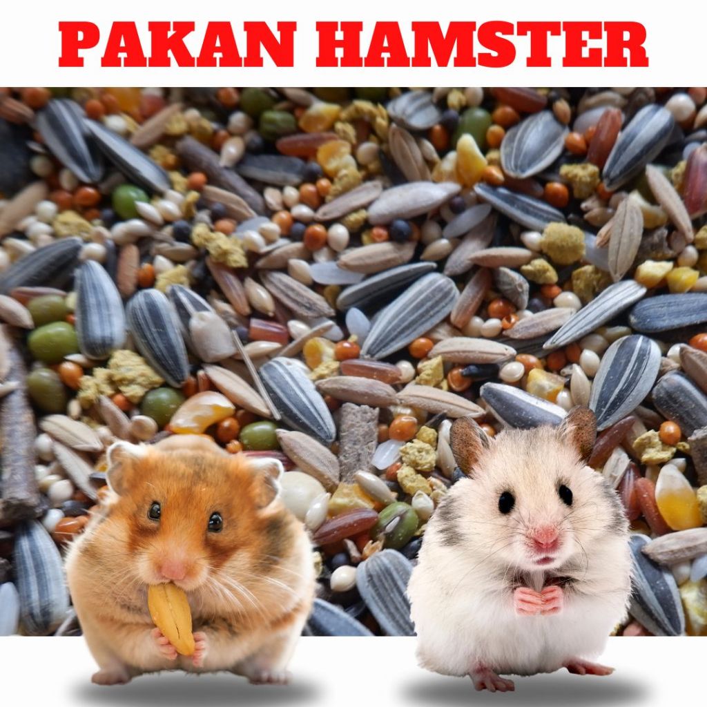 Jual Makanan Hamster Premium Komplit Mix Lengkap / Pakan Hamster 500 gr ...