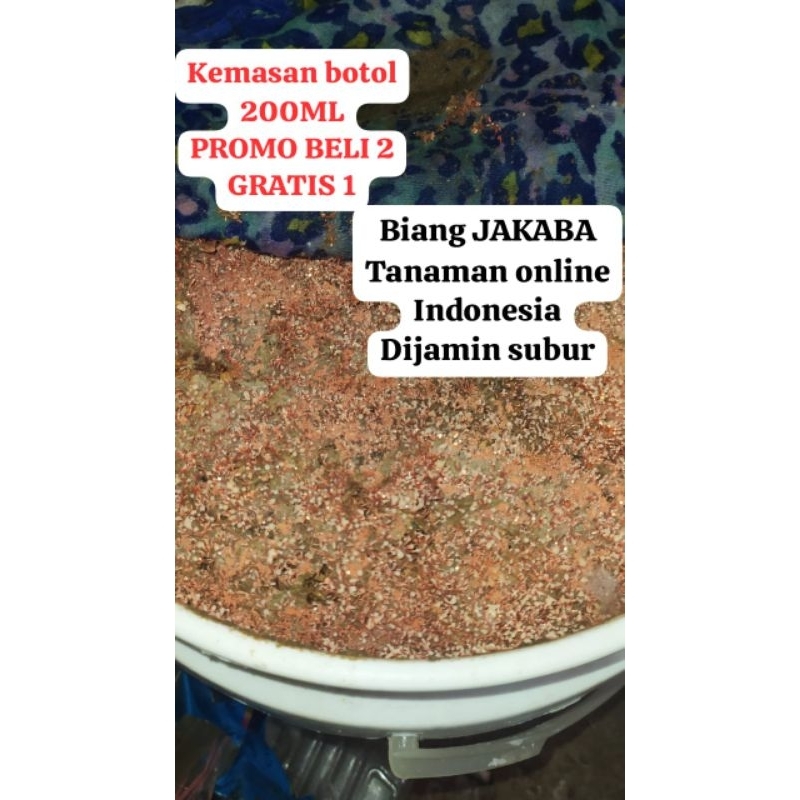 Jual Biang jakaba + air jakaba poc beli 2 gratis 1 200ml | Shopee Indonesia