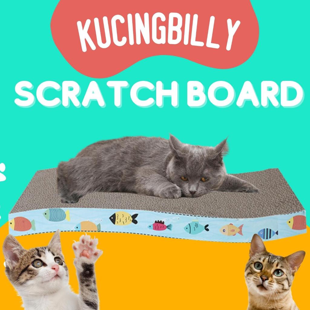 Jual SCRATCH BOARD KUCING papan garukan kucing | Shopee Indonesia