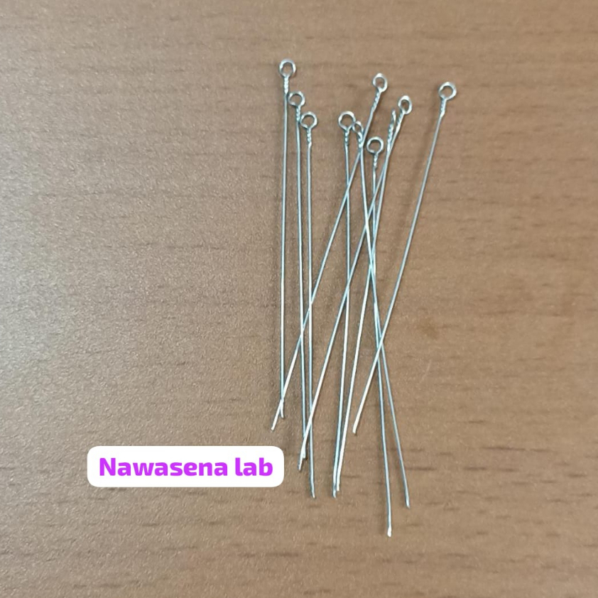 Jual Inoculating Loop Ose NICHROME 2mm | Shopee Indonesia