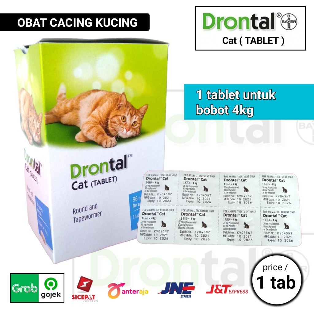 Jual DRONTAL CAT obat cacing kucing drontal 1 tablet | Shopee Indonesia