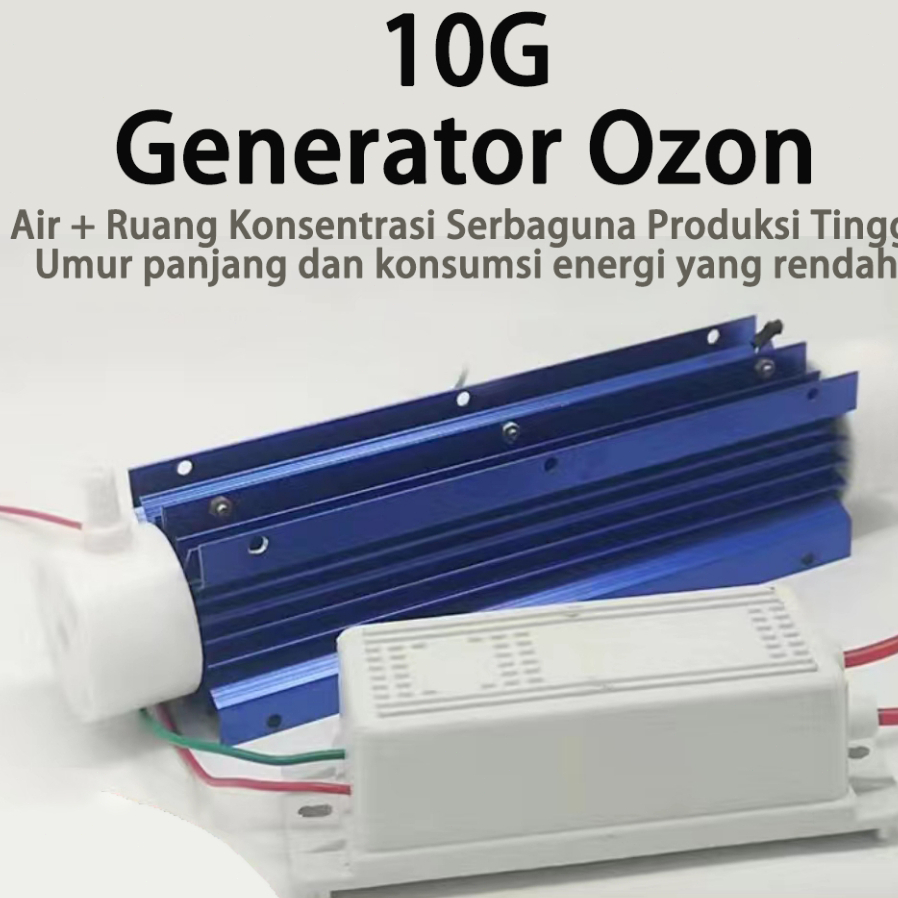 Jual 220V 10G Tabung Keramik Berpendingin Udara Generator Ozon Tabung Air Pembersih Udara Tabung ...