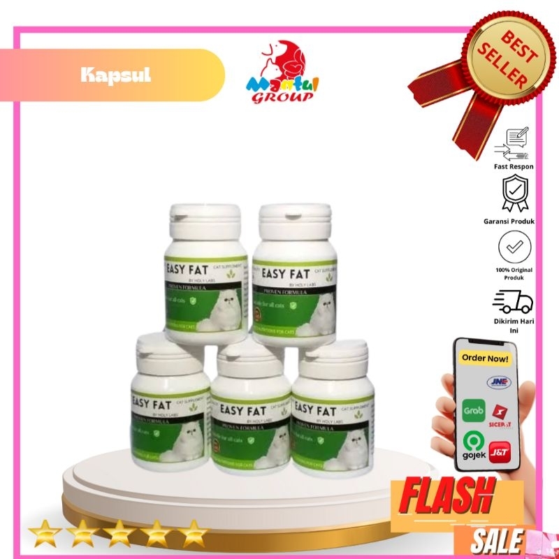 Jual Easy Fat Per Kapsul (nafsu makan dan penggemuk)|REPACK (OBAT ...