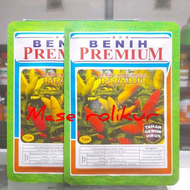 Jual Benih Cabe Rawit PRABU isi 10 g -+ 2.100 butir | Shopee Indonesia