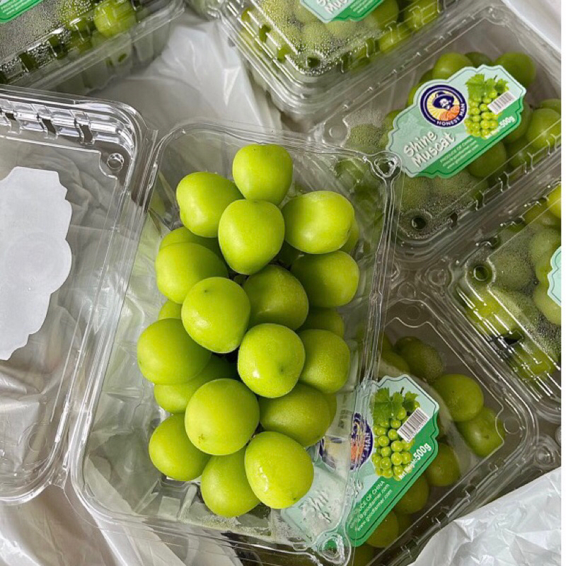 Jual Fresh Anggur Muscat 500gr/pack | Shopee Indonesia