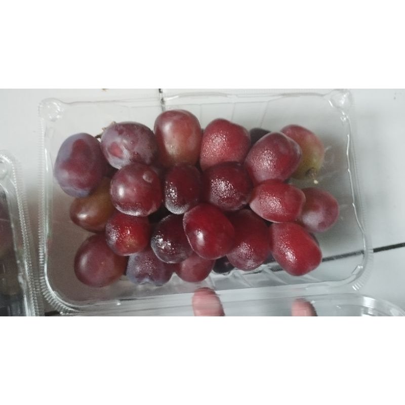 Jual anggur red Muscat seedles | 500 gram | Shopee Indonesia