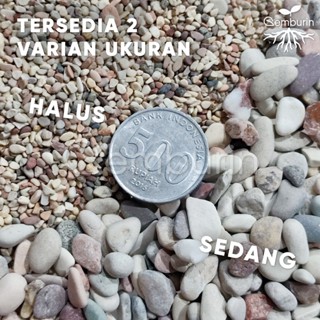 Jual Batu Ares Panca Warna 1 Kg HALUS / Pasir Koral Hias Multicolour Multicolor Stone Pancawarna ...