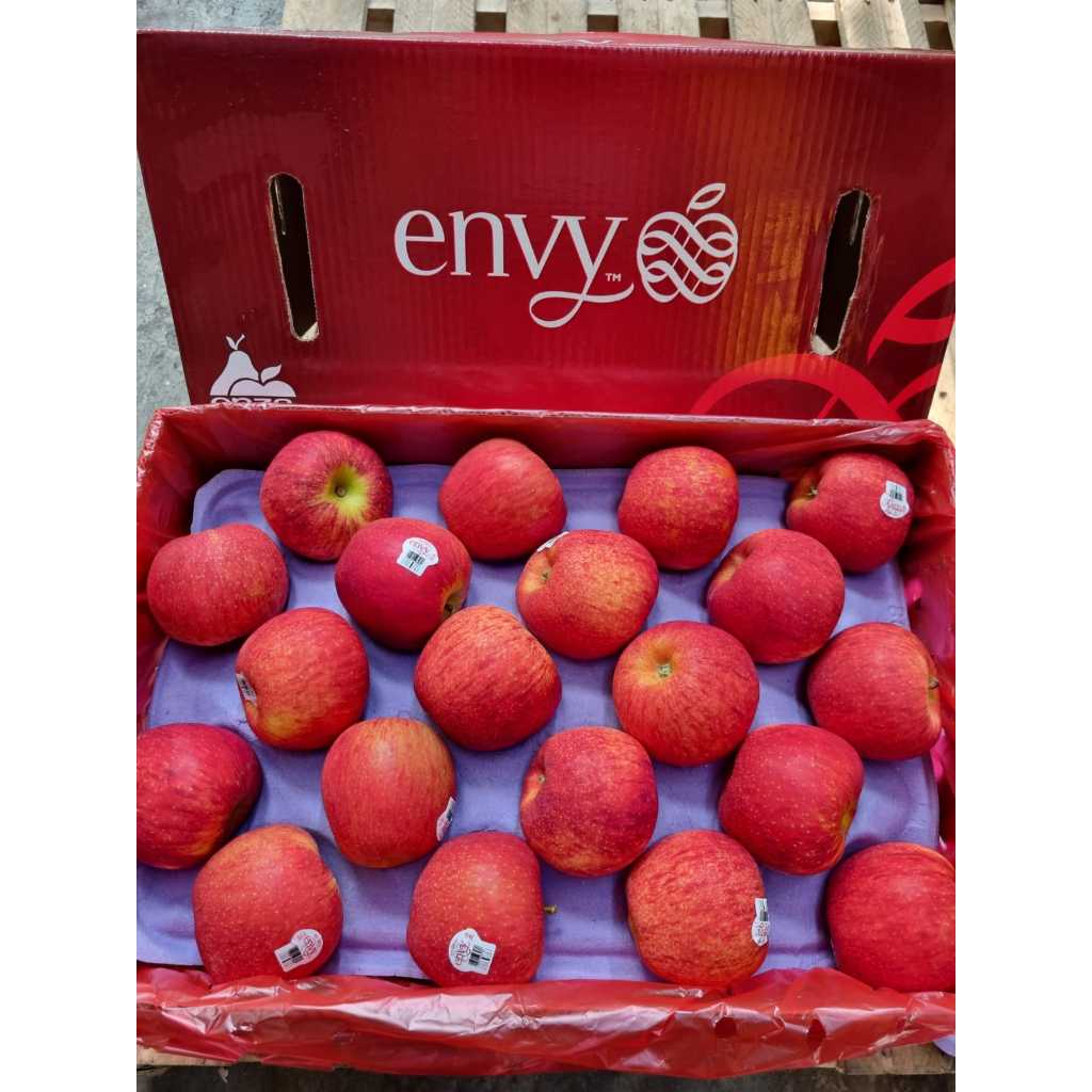Jual Apel Envy Dus +-17kg | Shopee Indonesia