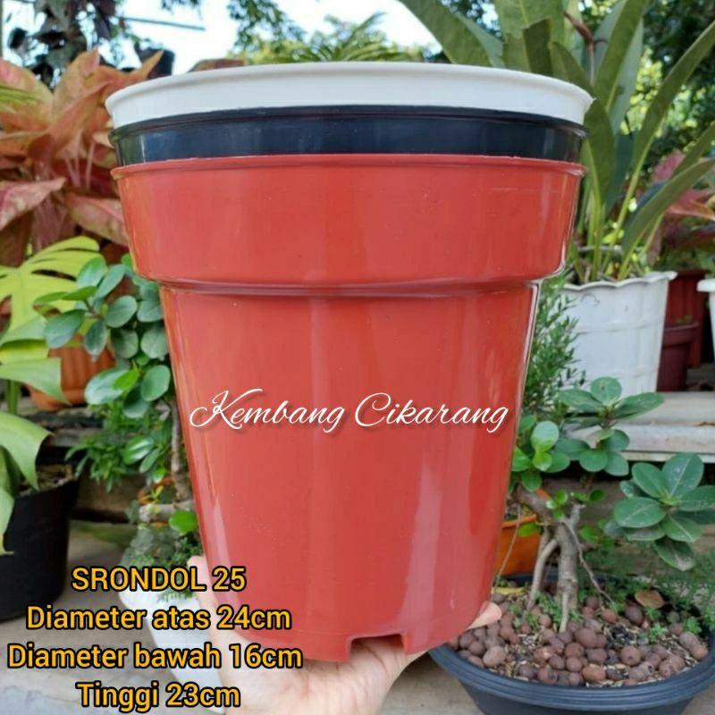 Jual (1pc) GOL SRONDOL 25 (24cm) : pot bunga basic tinggi polos semai ...