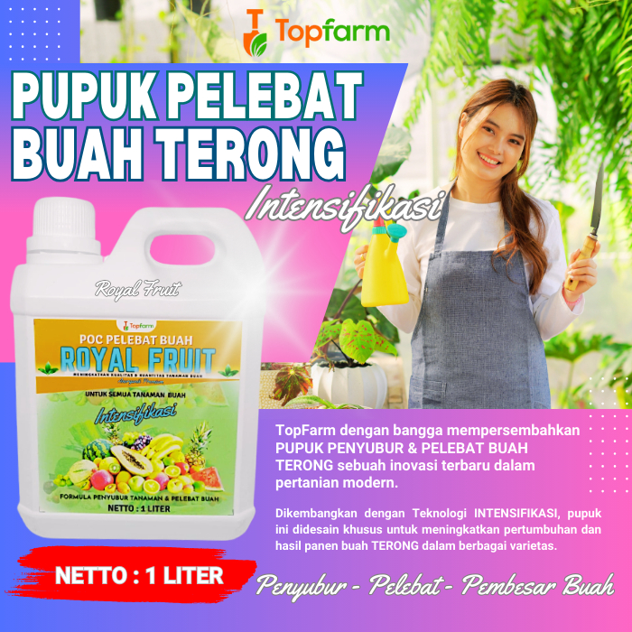 Jual Pupuk Pelebat Buah Untuk Terong / Pupuk Pelebat Buah Terong Ungu ...