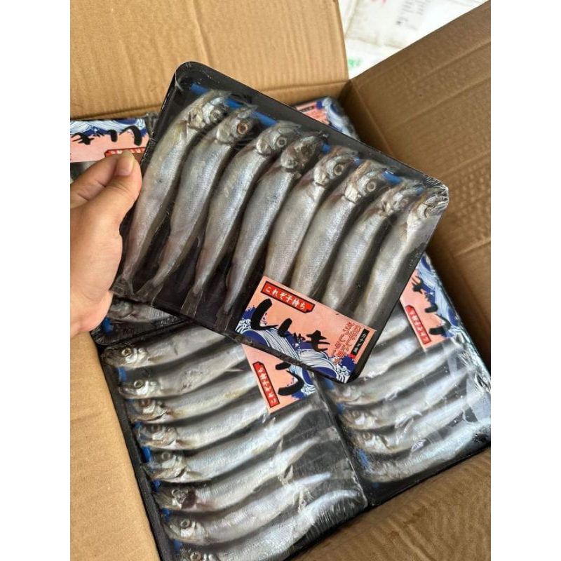 Jual Ikan Capelin Ikan Telur Shisamo RJ Fish | Shopee Indonesia