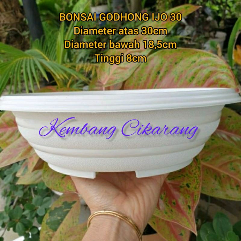 Jual (1pc) GODHONG IJO BONSAI 30 (30cm) : pot bunga bonsai bulat ceper ...