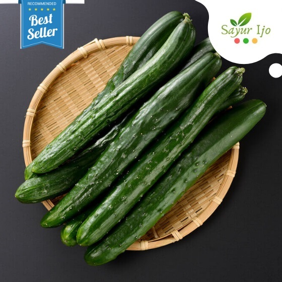 Jual Timun Jepang Kyuri 480 - 500 Gram Fresh Japanese Cucumber Mentimun ...