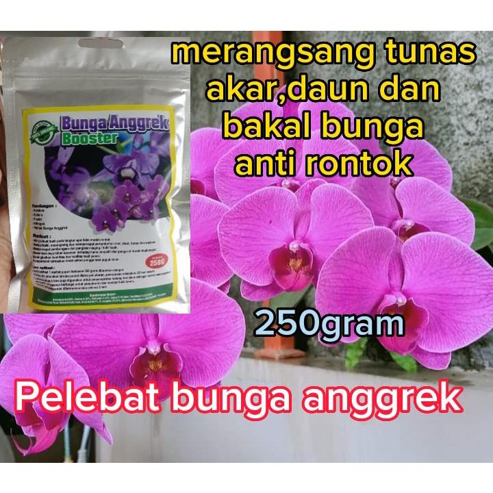 Jual Pupuk Organik Pelebat Tanaman dan Booster Bunga Anggrek Cepat ...