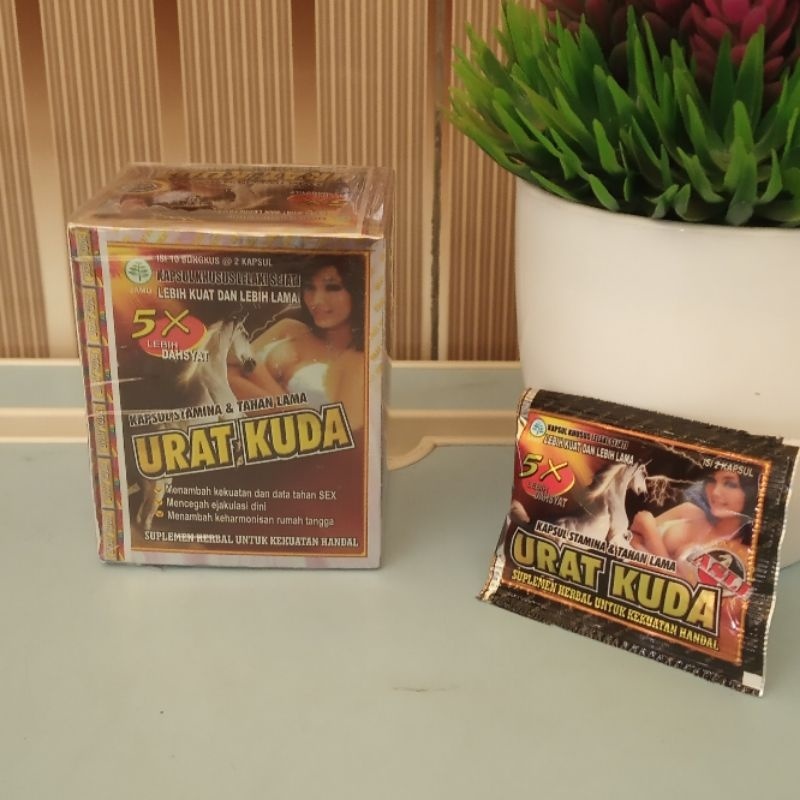 Jual URAT KUDA Obat Kuat Obat Tahan Lama (1Sachet isi 2Kapsul) | Shopee Indonesia