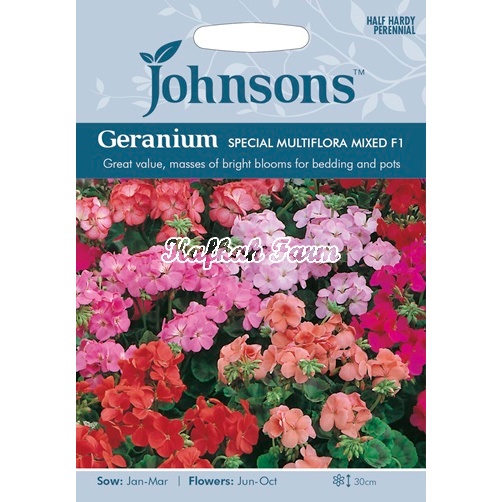 Jual Benih 3 Biji Bunga GERANIUM Special Multiflora Mixed F1 | Shopee ...